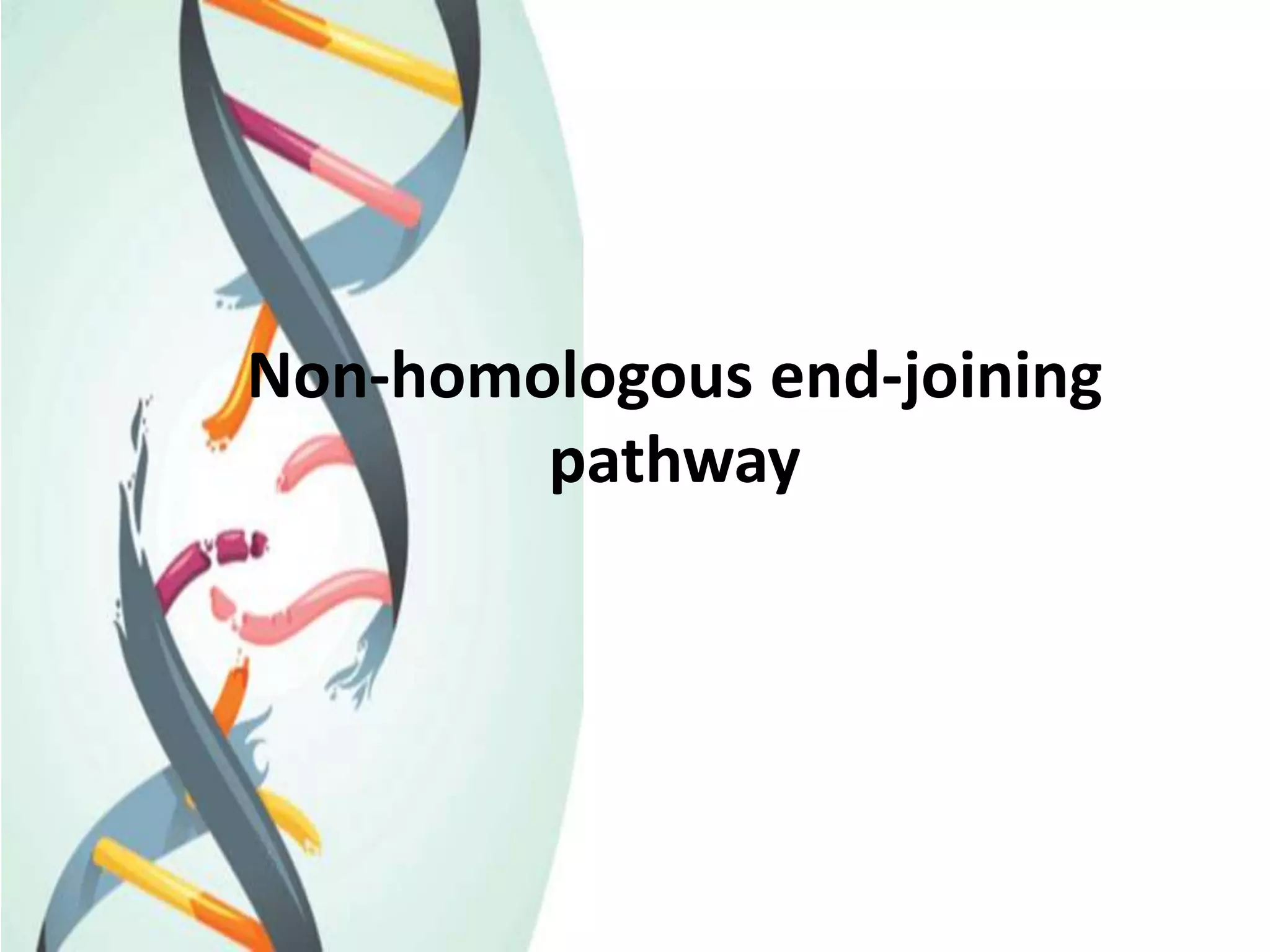 Non homologous end-joining pathway-creative diagnostic | PPTX
