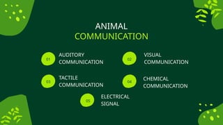 NON-HUMAN COMMUNICATION in LANGUAGE, CULTURE and SOCIETY .pptx