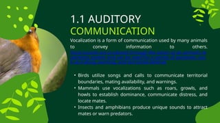 NON-HUMAN COMMUNICATION in LANGUAGE, CULTURE and SOCIETY .pptx
