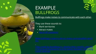 NON-HUMAN COMMUNICATION in LANGUAGE, CULTURE and SOCIETY .pptx