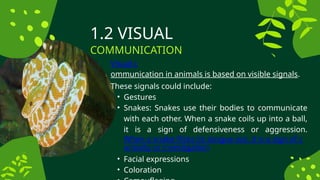 NON-HUMAN COMMUNICATION in LANGUAGE, CULTURE and SOCIETY .pptx