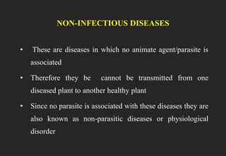 Non Infectious Disease