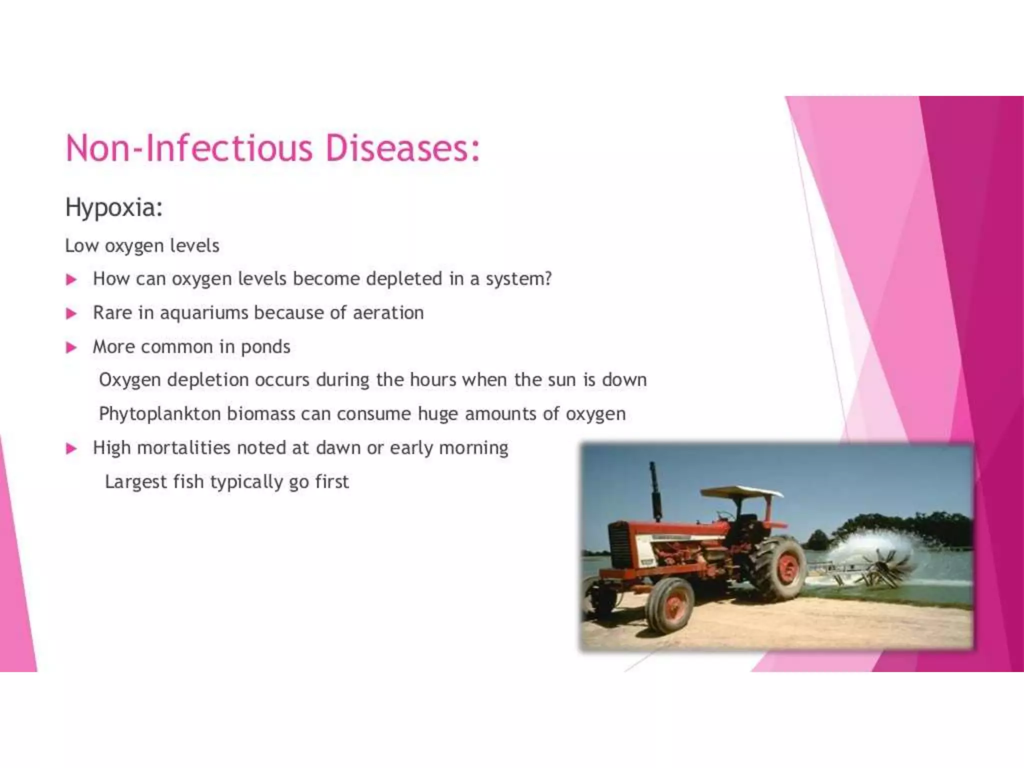 Non infectious disease | PPTX | Infectious Diseases | Diseases and ...