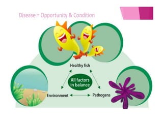 Non infectious disease | PPTX