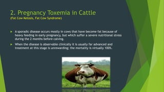 Non-Infectious Diseases in Animals.pptx