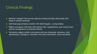 Non-Infectious Diseases in Animals.pptx
