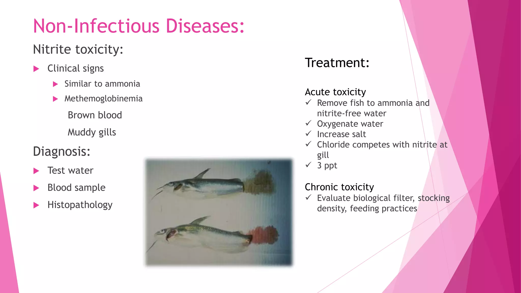 Non infectious diseases of fish | PPTX