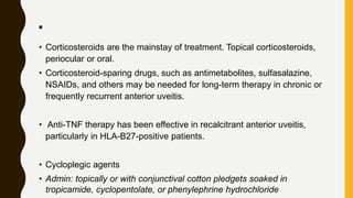 Non-infectious ocular inflammatory diseases by Dr. Iddi.pptx