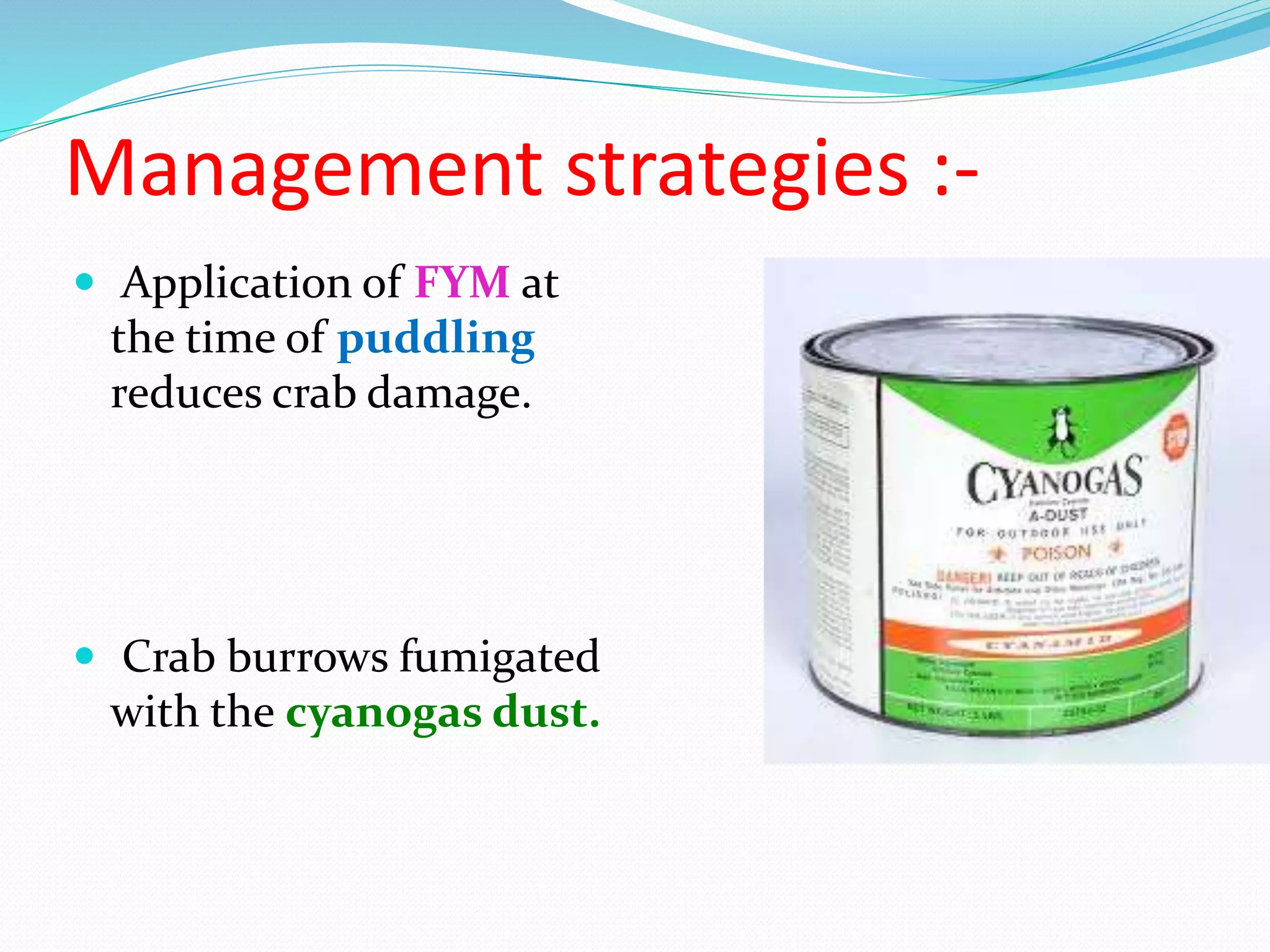 Non insect pests | PPTX