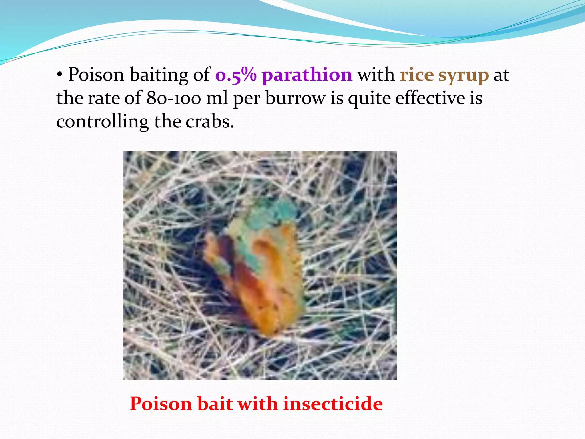 Non insect pests | PPTX