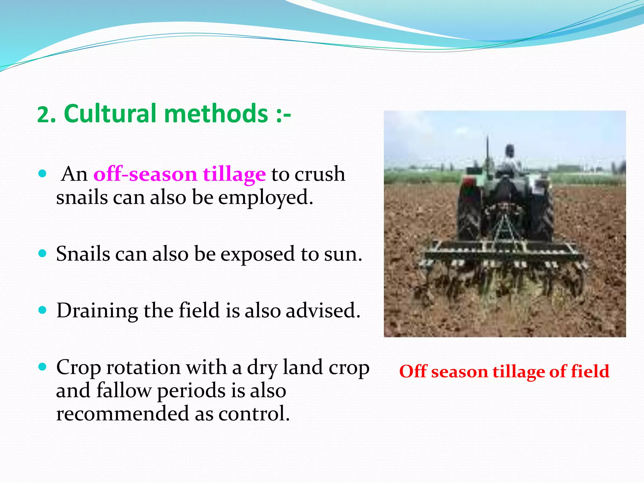 Non insect pests | PPTX