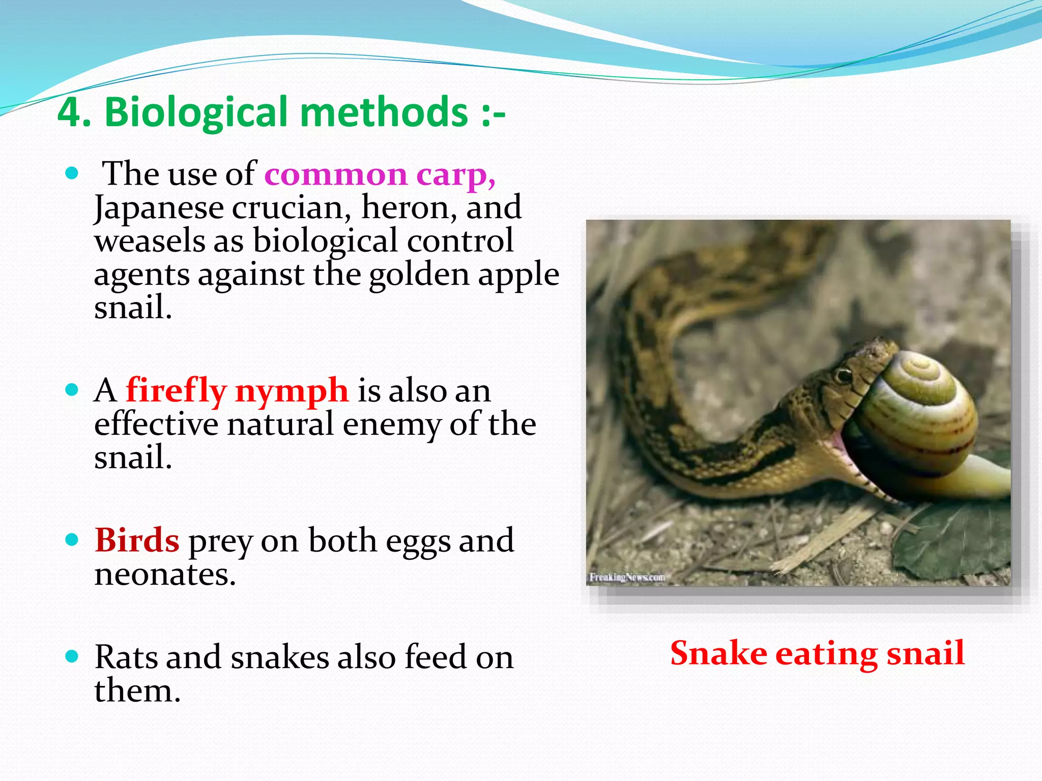 Non insect pests | PPTX