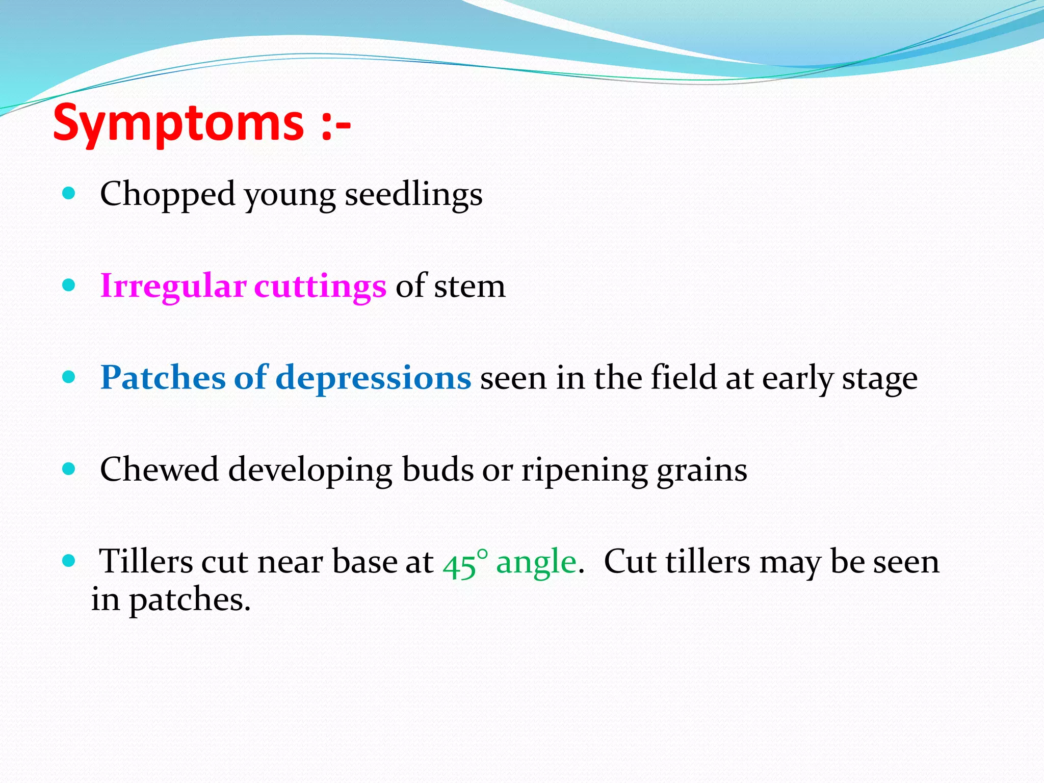 Non insect pests | PPTX