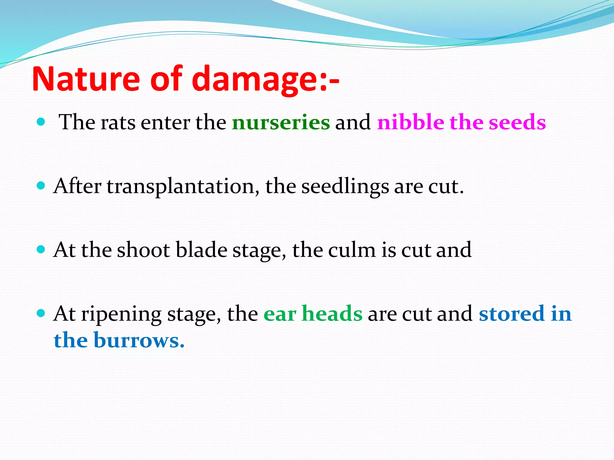 Non insect pests | PPTX