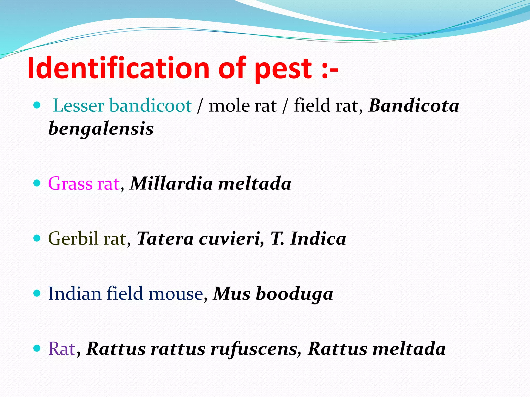 Non insect pests | PPTX