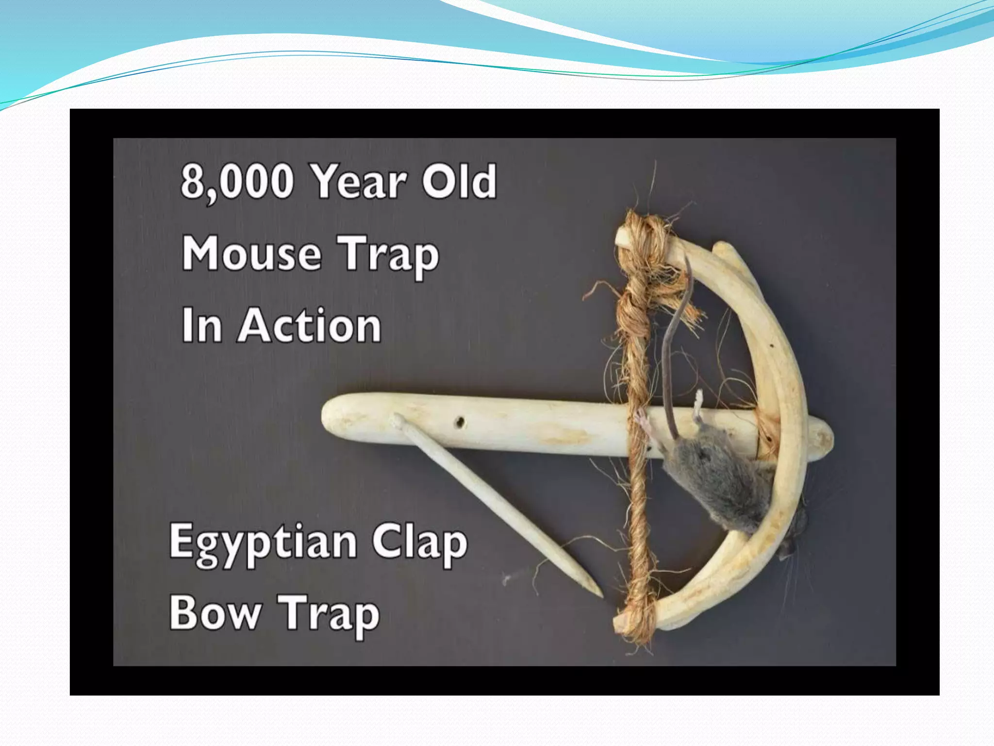 Non insect pests | PPTX