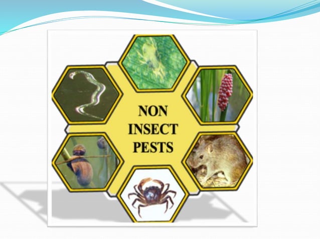 Non insect pests | PPTX | Gardening | Home & Garden