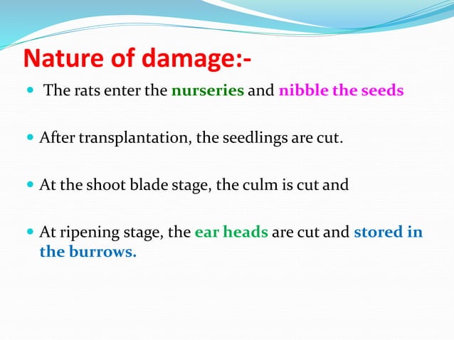 Non insect pests | PPTX | Gardening | Home & Garden