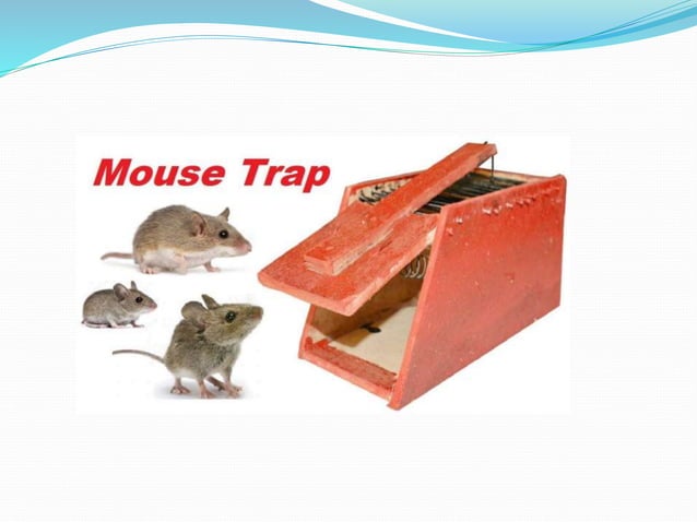 Non insect pests | PPTX | Gardening | Home & Garden