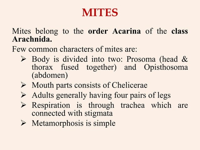 NON- INSECT PESTS Anand non insect .pptx