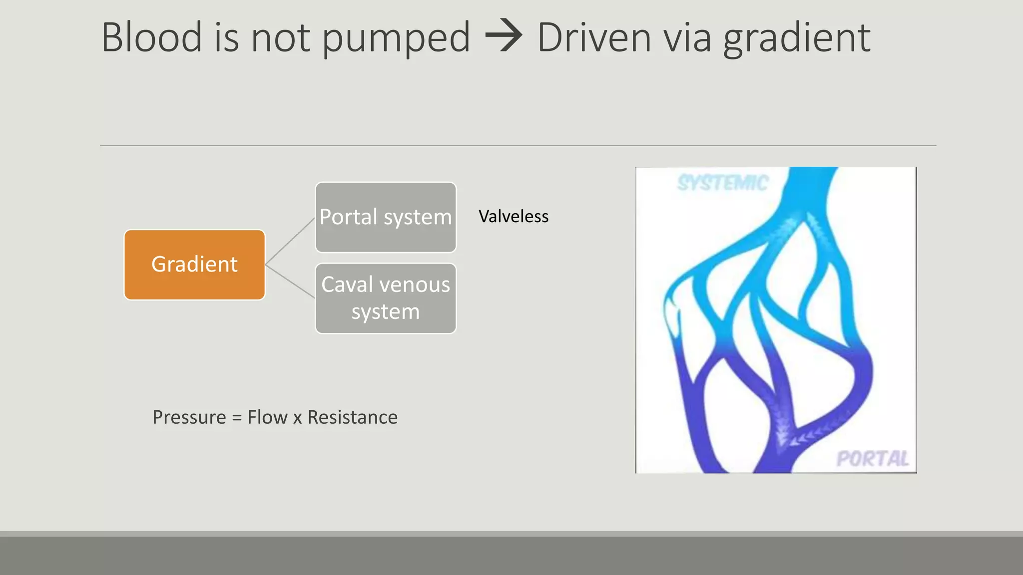 Imaging of portal hypertension | PPTX
