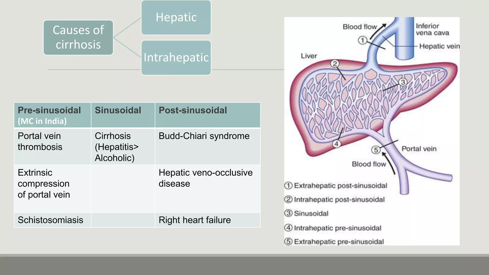 Imaging of portal hypertension | PPTX