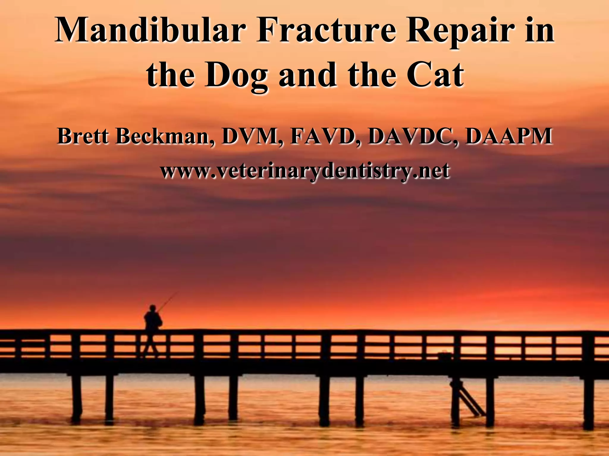 Veterinary Dentistry - Non Invasive Mandibular Fracture Repair in Dogs ...