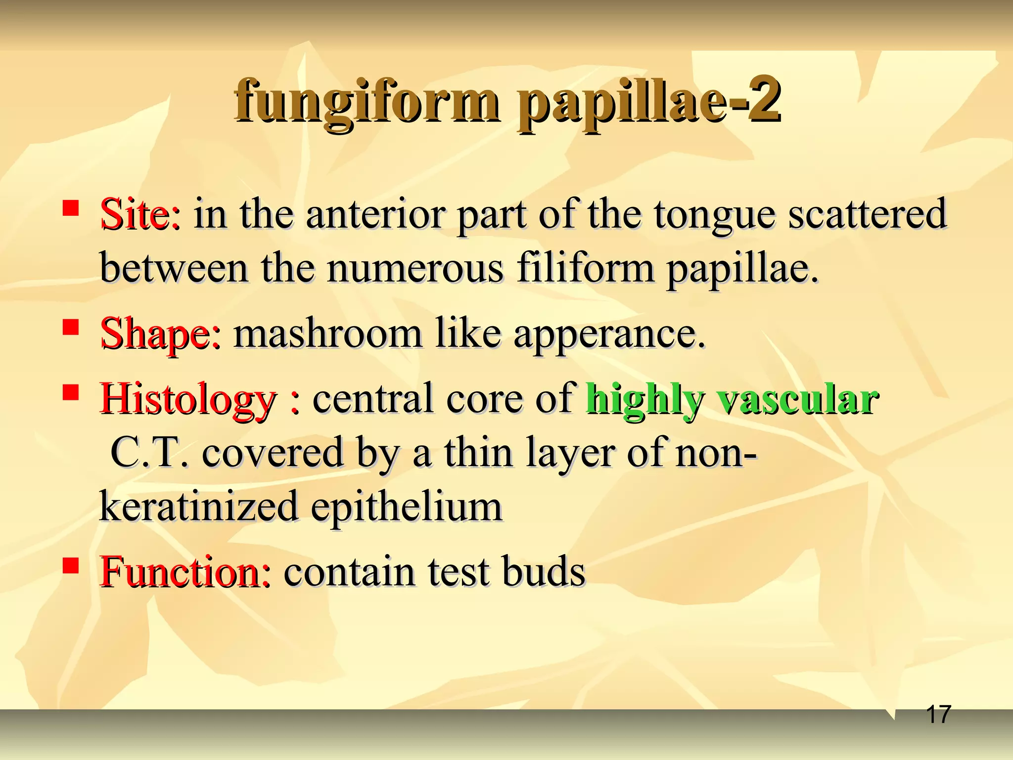 Non keratinocytes&specialized mucosa | PPT
