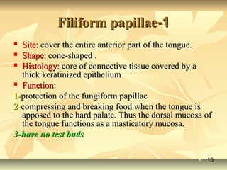 Non keratinocytes&specialized mucosa | PPT