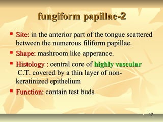 Non keratinocytes&specialized mucosa | PPT
