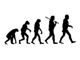 Non Linear Powerpoint Introduction | PPT | Computer Software and ...