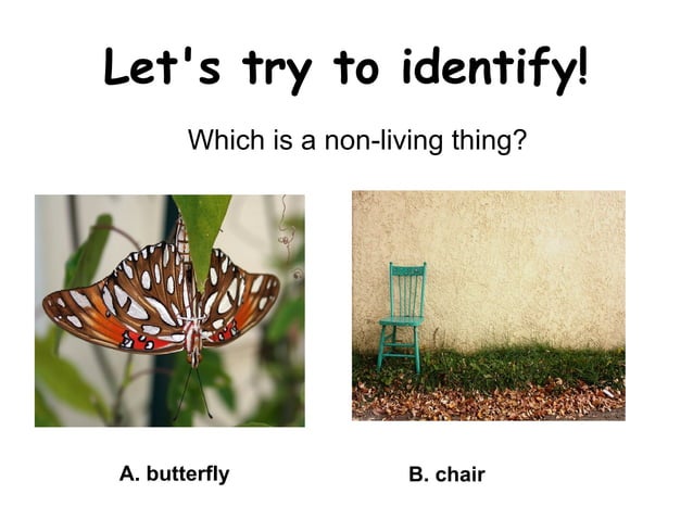 Non-living Things sd | PPT