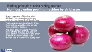Non-lossy onion peeling machine by air blaster line 2ton per hour from ...