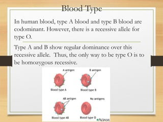 Non-Mendelian-Genetics Patterns of Inheritance.ppt