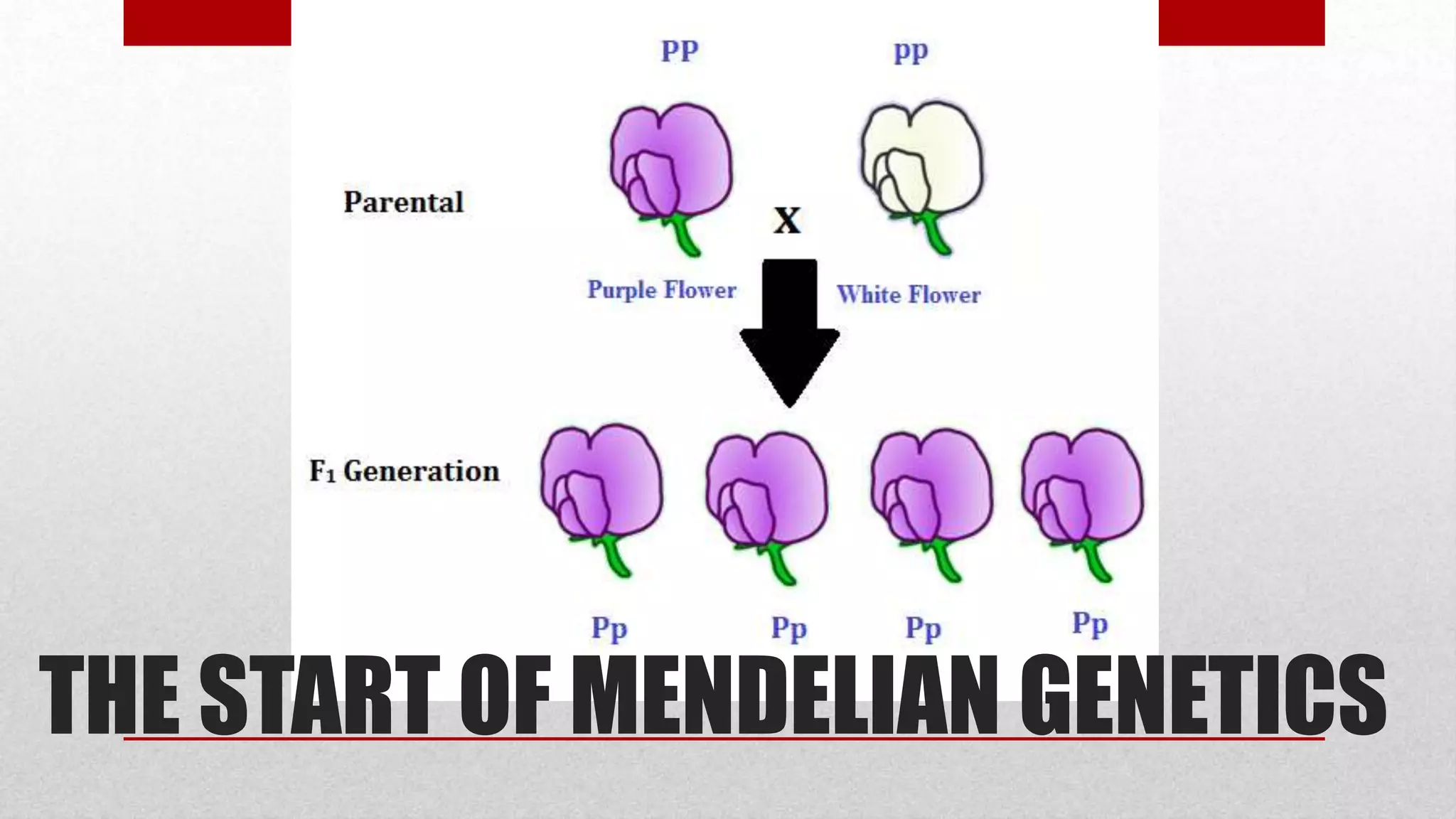 NON-MENDELIAN GENETICS.pptx