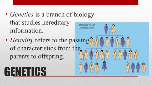 NON-MENDELIAN GENETICS.pptx | Genetics | Science