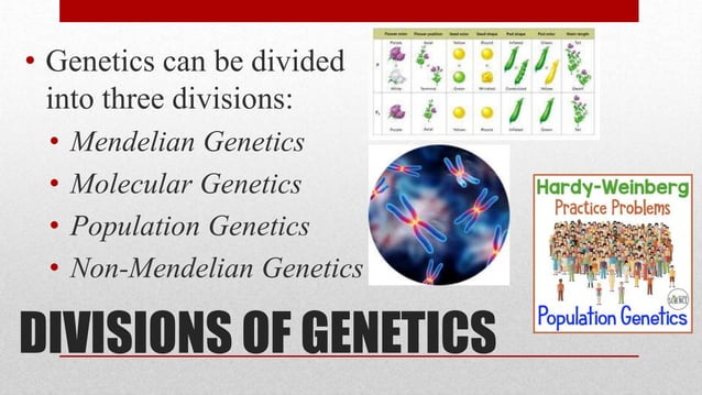 NON-MENDELIAN GENETICS.pptx | Genetics | Science