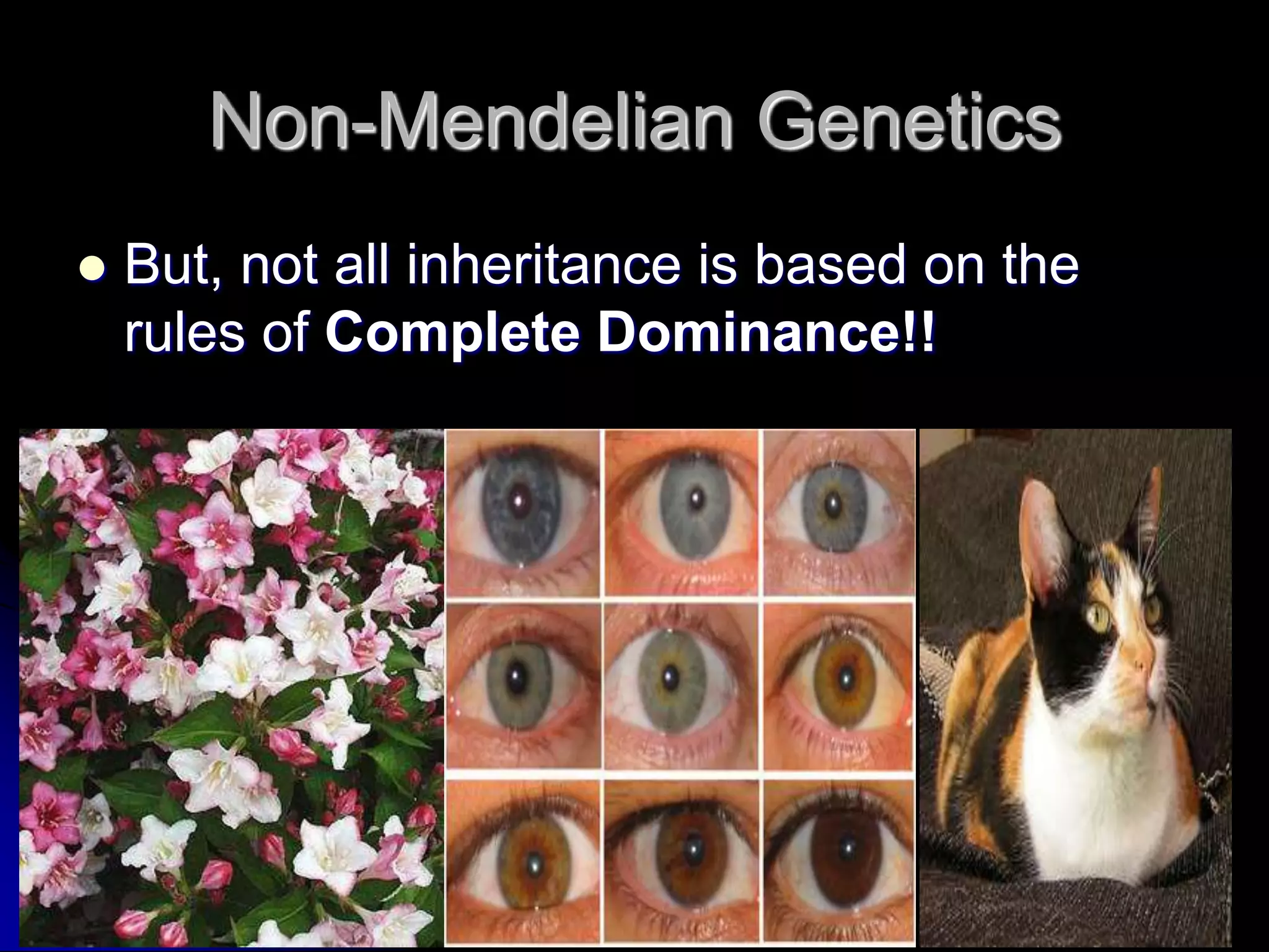 Non-Mendelian_Genetics_.ppt