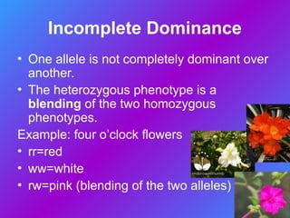 Science 9 Non-Mendelian Genetics Presentation | PPT