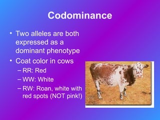 Science 9 Non-Mendelian Genetics Presentation | PPT