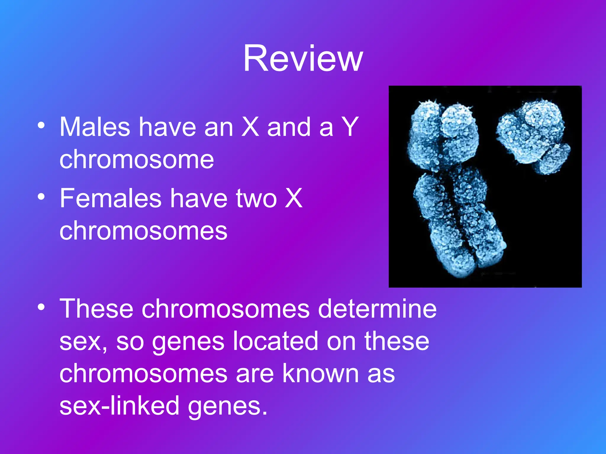 non-mendelian_genetics powerpoint presentation.ppt