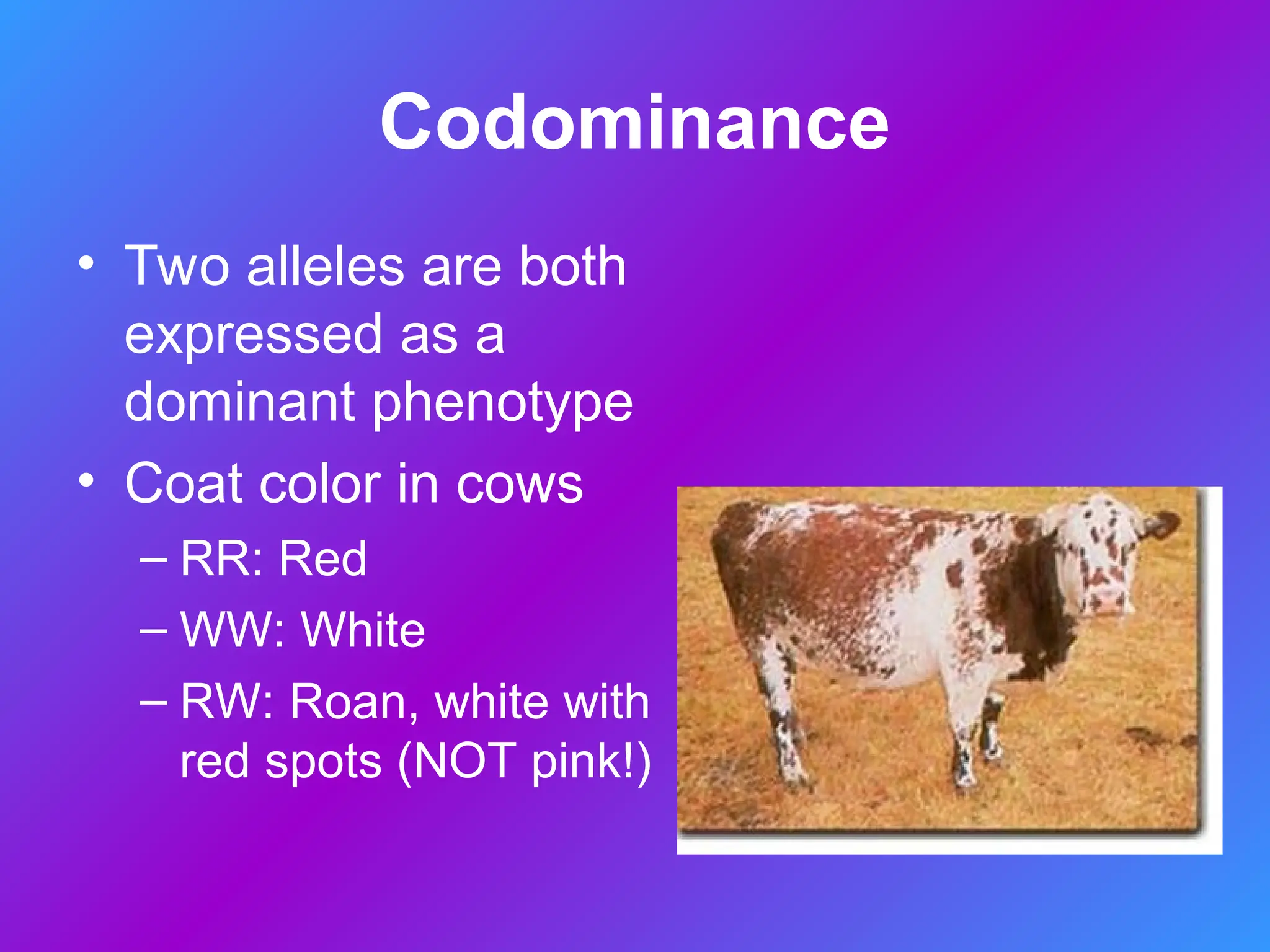 non-mendelian_genetics powerpoint presentation.ppt