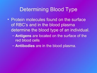 non-mendelian_genetics_genes_chromosomes | PPT