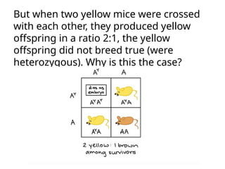 NON-MENDELIAN GENETICS A BRIEF INTRODUCTION | PPTX