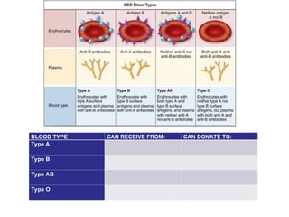 Non-Mendelian Genetics Principles and Field oF Study | PPT