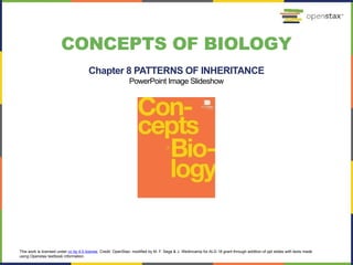 Non-Mendelian Genetics. Codominance, Incomplete Dominance, Sex-linked ...