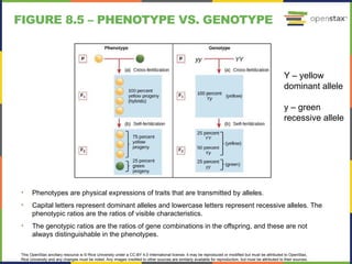 Non-Mendelian Genetics. Codominance, Incomplete Dominance, Sex-linked ...
