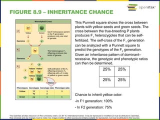 Non-Mendelian Genetics. Codominance, Incomplete Dominance, Sex-linked ...