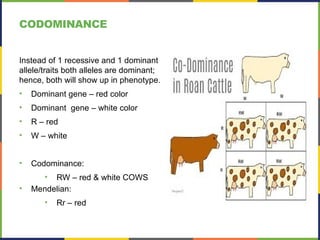 Non-Mendelian Genetics. Codominance, Incomplete Dominance, Sex-linked ...