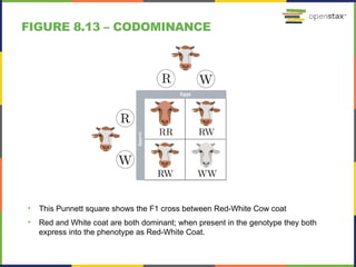 Non-Mendelian Genetics. Codominance, Incomplete Dominance, Sex-linked ...